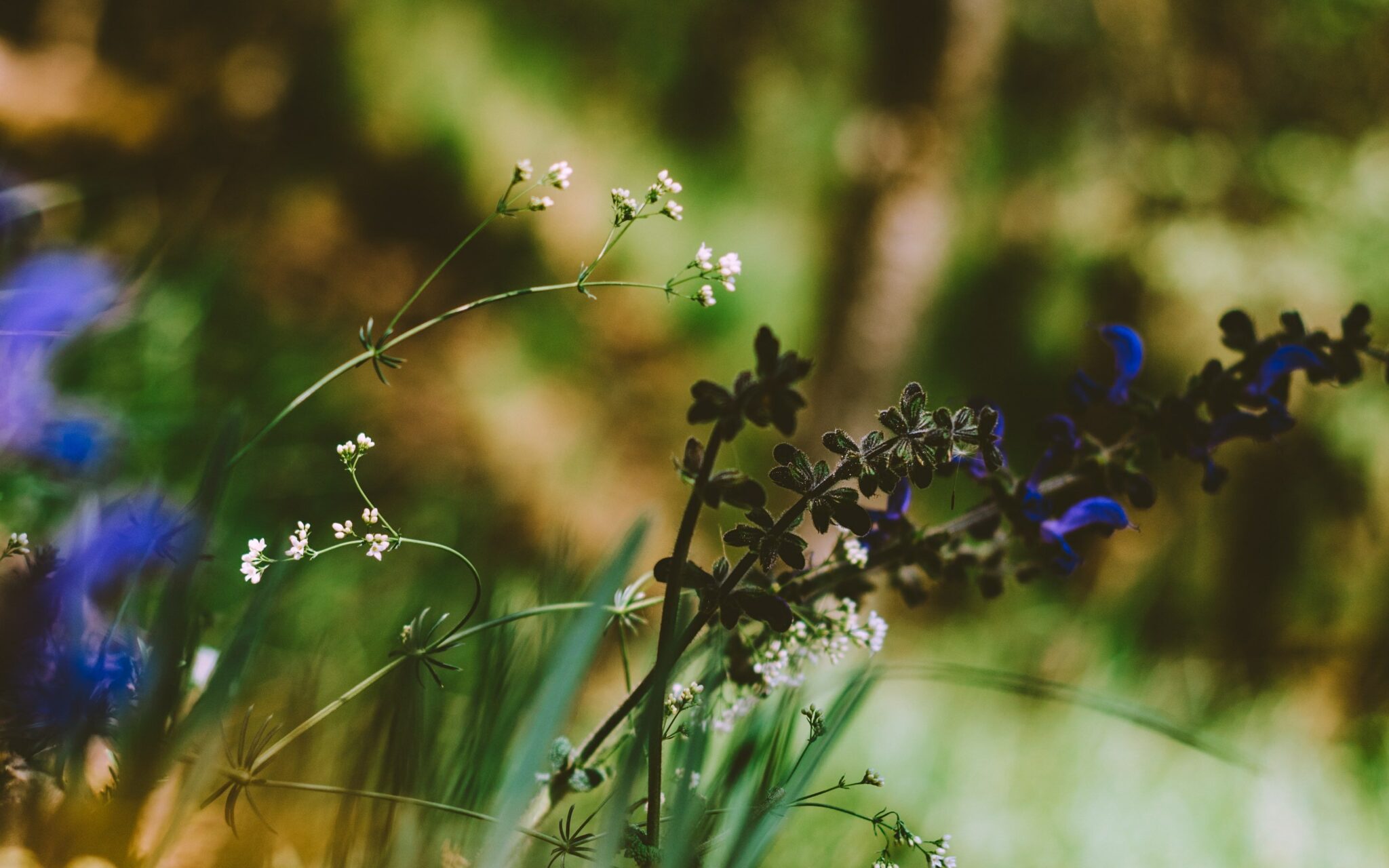 What is aperture in photography? | BBC Maestro