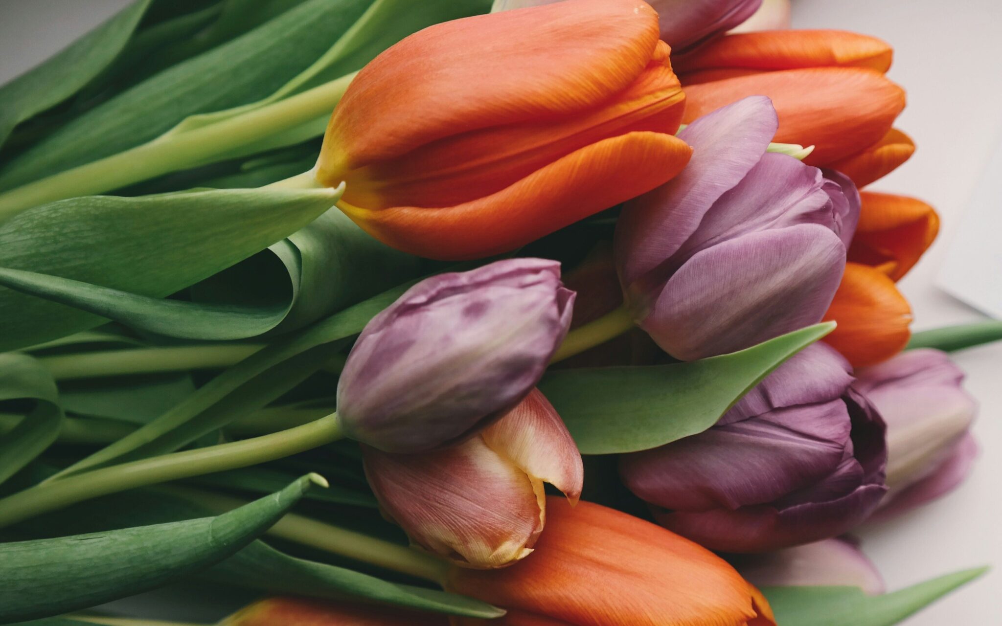 How to keep flowers fresh | BBC Maestro