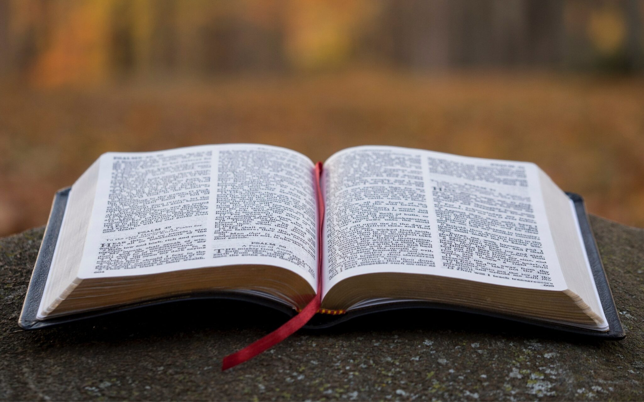 What is a plot device? | BBC Maestro